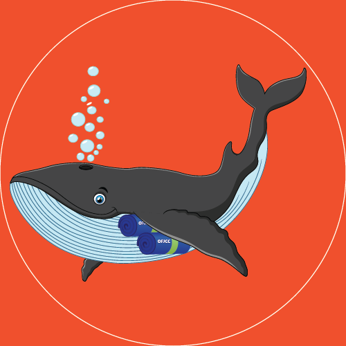 Swim Lessons – Oshman Family JCC